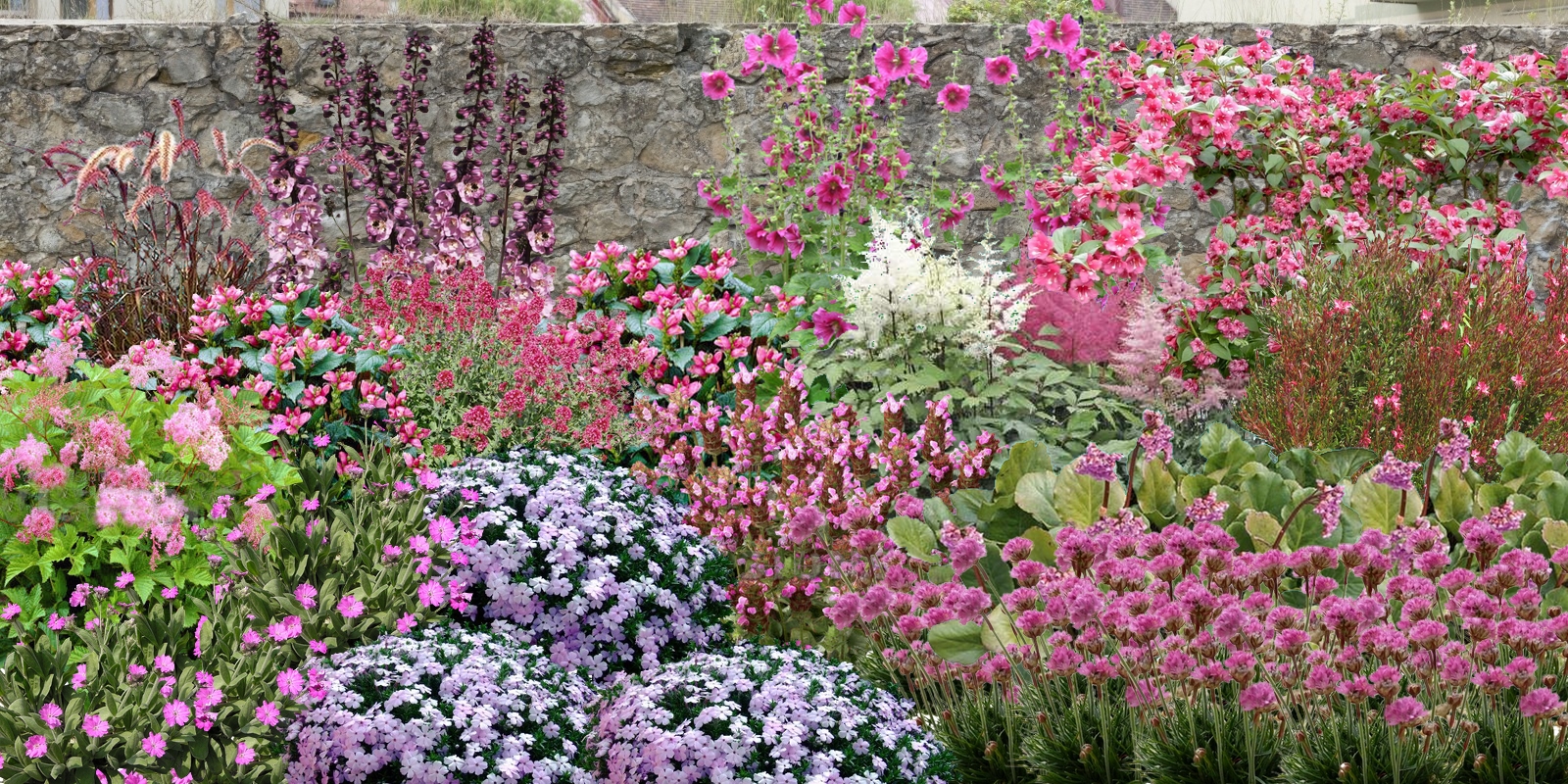 Créer un massif de fleurs roses Créer un massif de fleurs roses